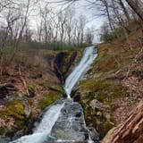 Crabtree Falls Trail, Virginia - 2,193 Reviews, Map | AllTrails