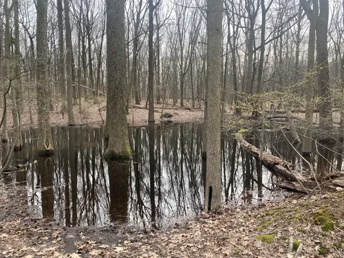 Best Hikes and Trails in Willowbrook Park | AllTrails