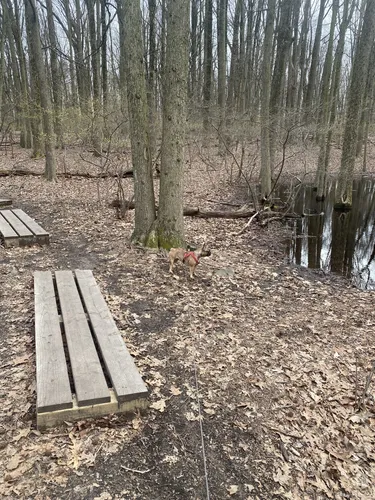 Best Hikes and Trails in Willowbrook Park | AllTrails