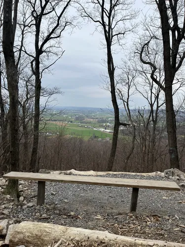 Best Forest Trails in Money Rocks County Park | AllTrails