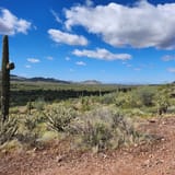 Coon Bluff Trail, Arizona - 708 Reviews, Map | AllTrails