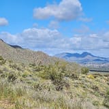 Coon Bluff Trail, Arizona - 708 Reviews, Map | AllTrails