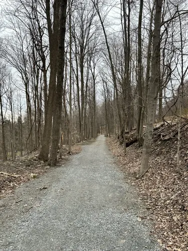 Best Hikes and Trails in Clarks Summit | AllTrails