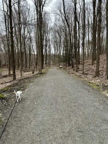 Best Hikes and Trails in Clarks Summit | AllTrails