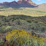 Coon Bluff Trail, Arizona - 708 Reviews, Map | AllTrails