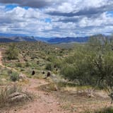 Coon Bluff Trail, Arizona - 708 Reviews, Map | AllTrails