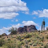 Coon Bluff Trail, Arizona - 708 Reviews, Map | AllTrails