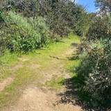Boomer Ridge, Moro Canyon, and Pacific Ridge Loop, California - 970 ...