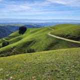 Sunol Ridge Trail, California - 111 Reviews, Map | AllTrails