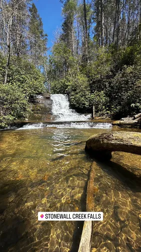 Best Mountain Biking Trails in Tiger | AllTrails