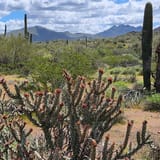 Coon Bluff Trail, Arizona - 708 Reviews, Map | AllTrails