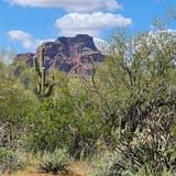 Coon Bluff Trail, Arizona - 708 Reviews, Map | AllTrails