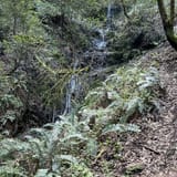 Bill's Trail to Mount Barnabe Peak Loop, California - 484 Reviews, Map ...
