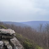 Wolf Rocks Trail, Pennsylvania - 1,363 Reviews, Map | AllTrails