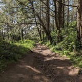 Alamere Falls via Coast Trail from Palomarin Trailhead, California ...