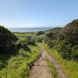 Alamere Falls via Coast Trail from Palomarin Trailhead, California ...
