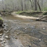 Cedar Ridge Trail Loop, North Carolina - 653 Reviews, Map | AllTrails