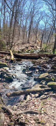 Best Walking Trails in Tyler State Park | AllTrails