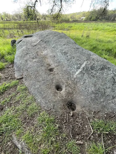 Best Hikes and Trails in Traylor Ranch Nature Reserve | AllTrails