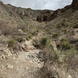 Aztec Cave Trail, Texas - 1,631 Reviews, Map | AllTrails