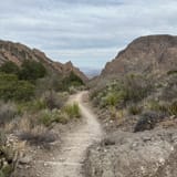 Basin Loop Trail, Texas - 1,110 Reviews, Map | AllTrails