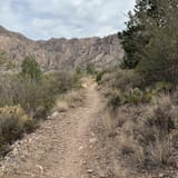Basin Loop Trail, Texas - 1,110 Reviews, Map | AllTrails