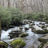 Mouse Creek Falls via Big Creek Trail, Tennessee - 2,633 Reviews, Map ...
