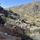 Victor Loop, California - 1,472 Reviews, Map | AllTrails