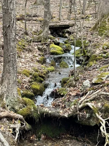 Best River Trails in Stokes State Forest | AllTrails