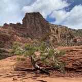 Bell Rock Pathway to Big Park Loop, Arizona - 3,458 Reviews, Map ...