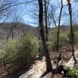 John Rock Trail Loop, North Carolina - 2,224 Reviews, Map | AllTrails