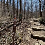 John Rock Trail Loop, North Carolina - 2,224 Reviews, Map | AllTrails