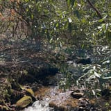 John Rock Trail Loop, North Carolina - 2,224 Reviews, Map | AllTrails