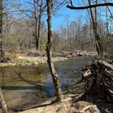 John Rock Trail Loop, North Carolina - 2,224 Reviews, Map | AllTrails