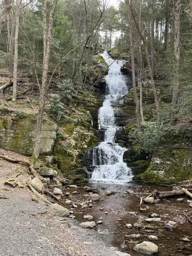 Best Views Trails in Walpack | AllTrails