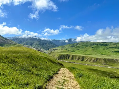 Best River Trails in Wind Wolves Preserve | AllTrails