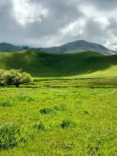 Best River Trails in Wind Wolves Preserve | AllTrails