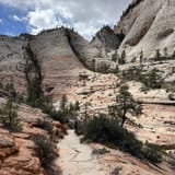 The Grotto Trailhead to The West Rim, Utah - 1,476 Reviews, Map | AllTrails