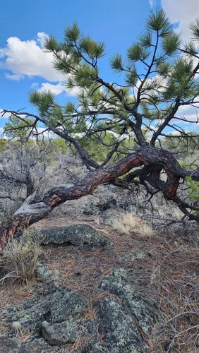 Best Hikes and Trails in Cebolla Wilderness | AllTrails