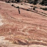 Yant Flats Trail, Utah - 1,206 Reviews, Map | AllTrails