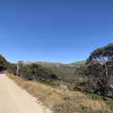 Main Range Walk, New South Wales, Australia - 903 Reviews, Map | AllTrails