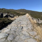 Main Range Walk, New South Wales, Australia - 903 Reviews, Map | AllTrails