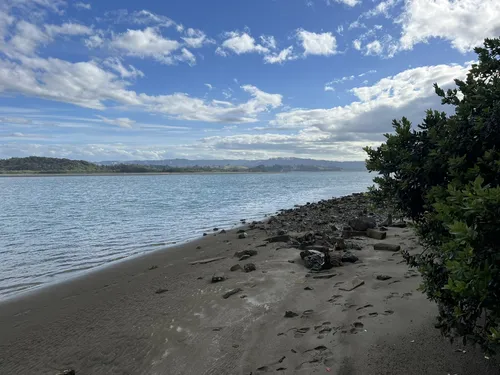 Best Beach Trails in Ohope | AllTrails