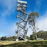 Mount Victoria Track, Victoria, Australia - 287 Reviews, Map | AllTrails