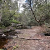 Great North Walk: Sydney to Newcastle, New South Wales, Australia - 104 ...