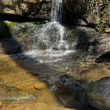 (Doug Ghee) Bald Rock Boardwalk, Alabama - 540 Reviews, Map | AllTrails