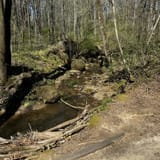 (Doug Ghee) Bald Rock Boardwalk, Alabama - 540 Reviews, Map | AllTrails