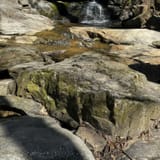 (Doug Ghee) Bald Rock Boardwalk, Alabama - 540 Reviews, Map | AllTrails