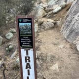 Pine Tree Trail, New Mexico - 2,150 Reviews, Map | AllTrails