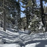 Cheyenne Mountain via Talon and Dixon Trail, Colorado - 783 Reviews ...